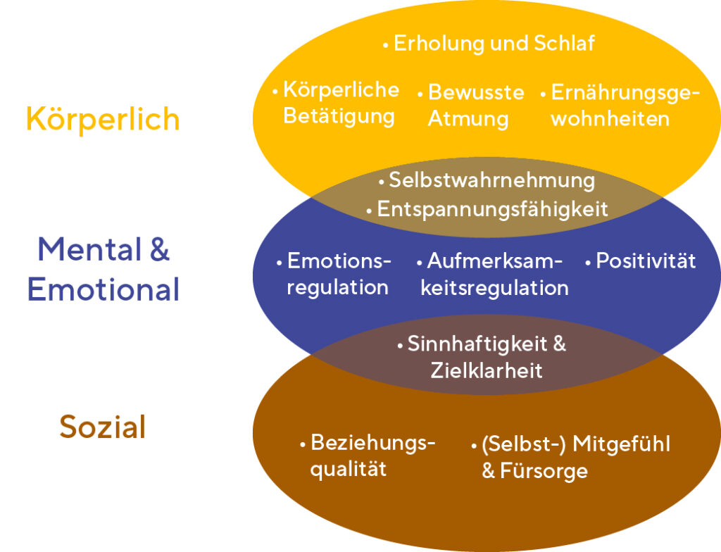 WE-Resilienz verstehen - Awaris