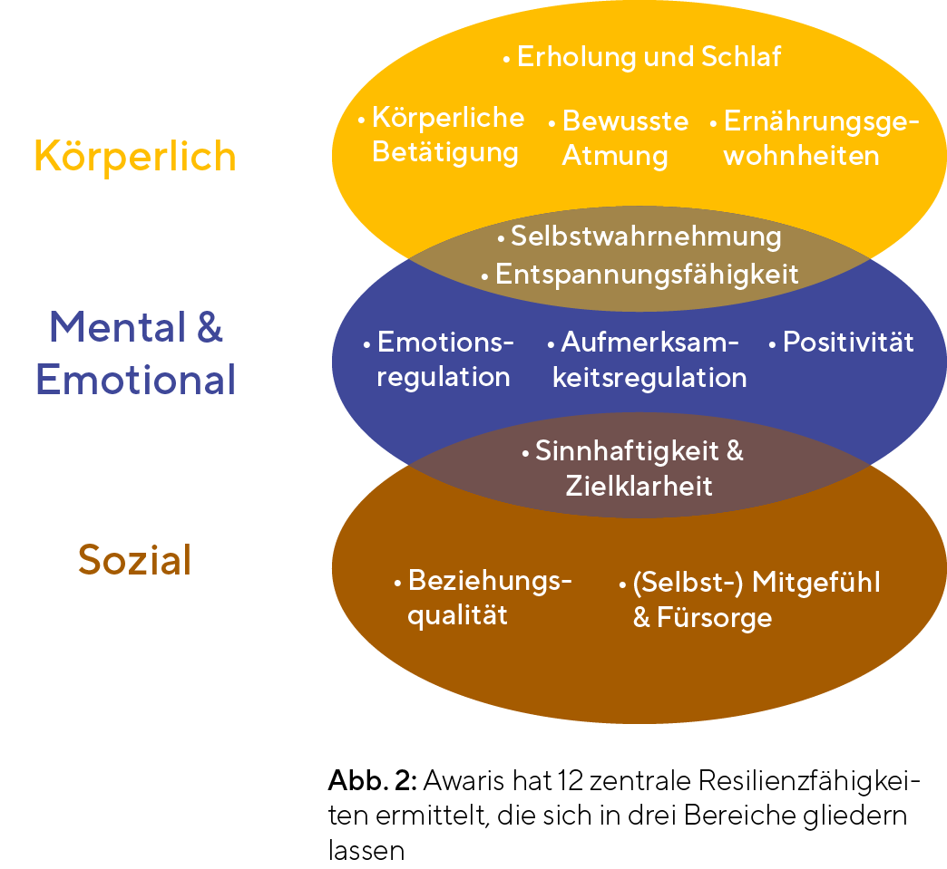 Das Awaris Rahmenmodell für Resilienz - Awaris